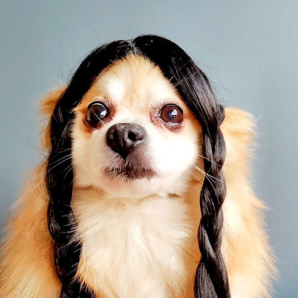 Addams Family Pet Costume - Etsy