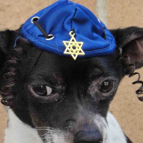 DOG KIPPAH Hanukkah Hat and Bow Set for Dog or Cat /hanukkah - Etsy