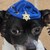 DOG KIPPAH Hanukkah Hat and Bow Set for Dog or Cat /hanukkah Pet Gift ...