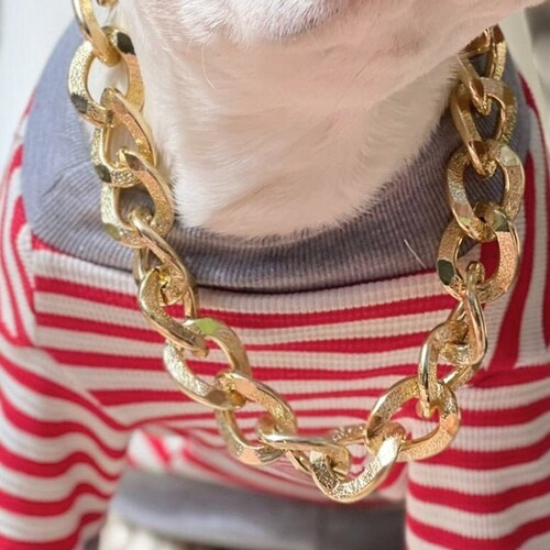 Supper Cute Dog Neck Chain Gold Color/ Jewelry for Pet - Etsy