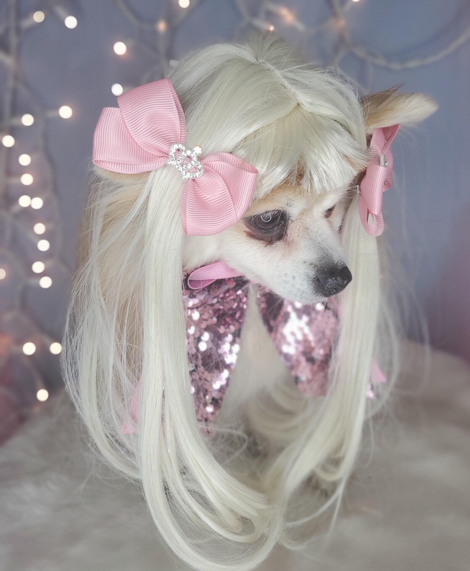 Blond Pet Wig With Pink Bows – Dog or Cat Costume - Etsy