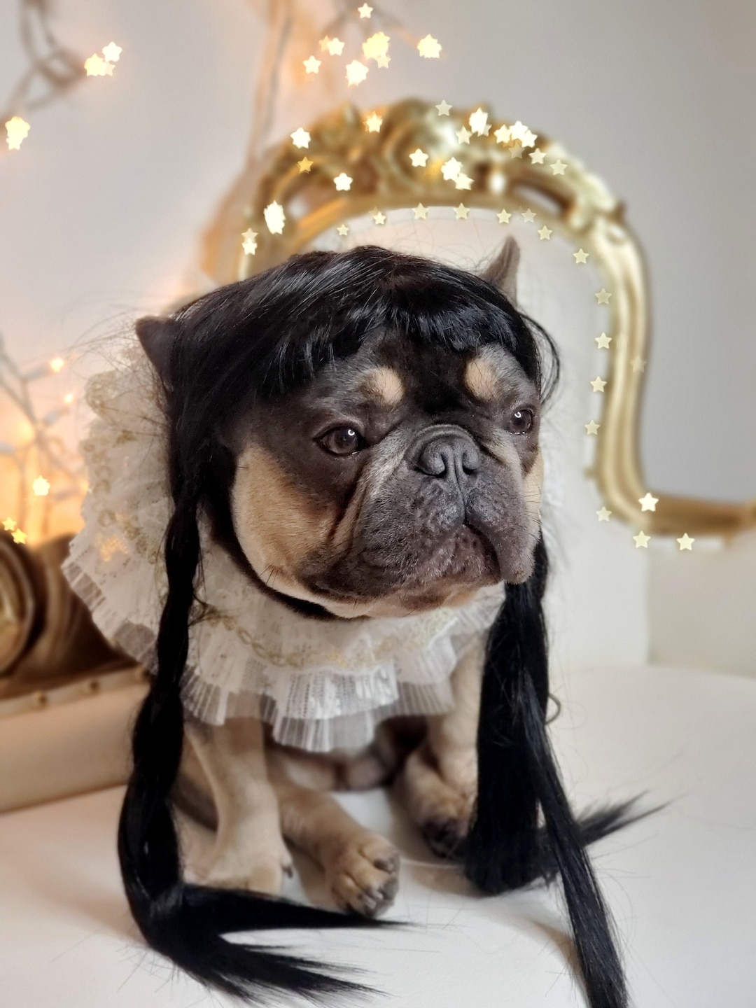 Wednesday Wig for Dog / Addams Family Cute Pet Braided Wig Black Color ...