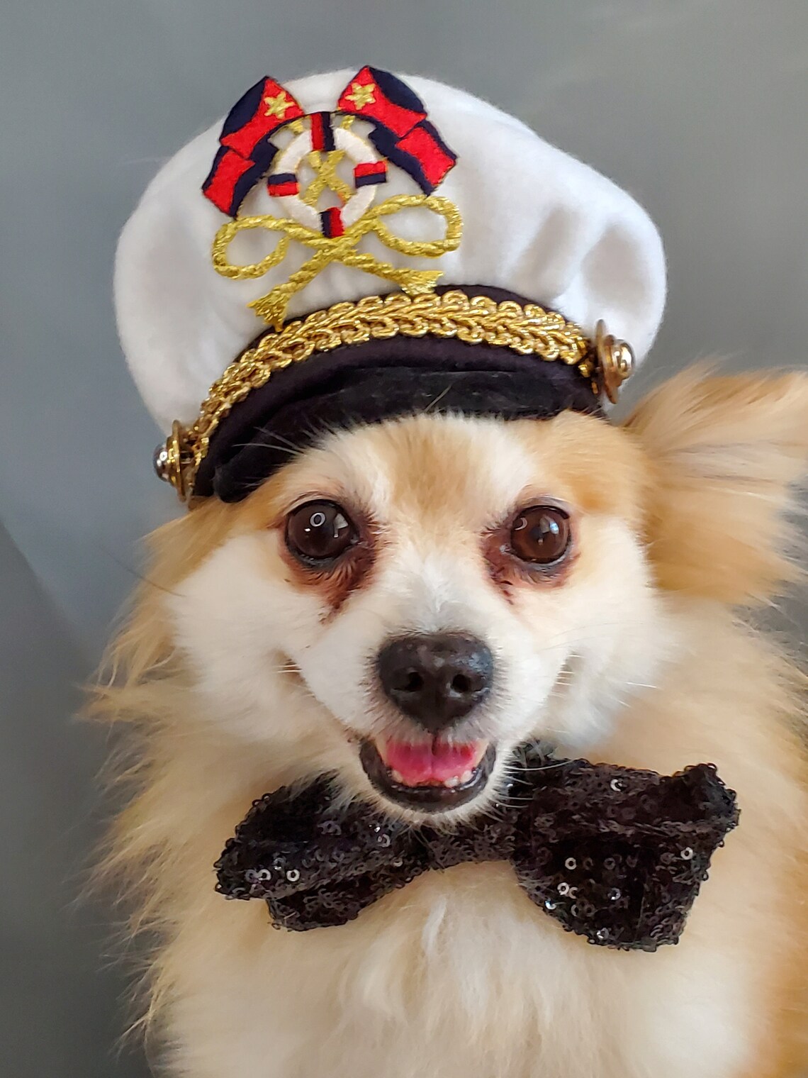 Captain Hat for Dog or Cat Small Animal Doll /halloween Pet | Etsy