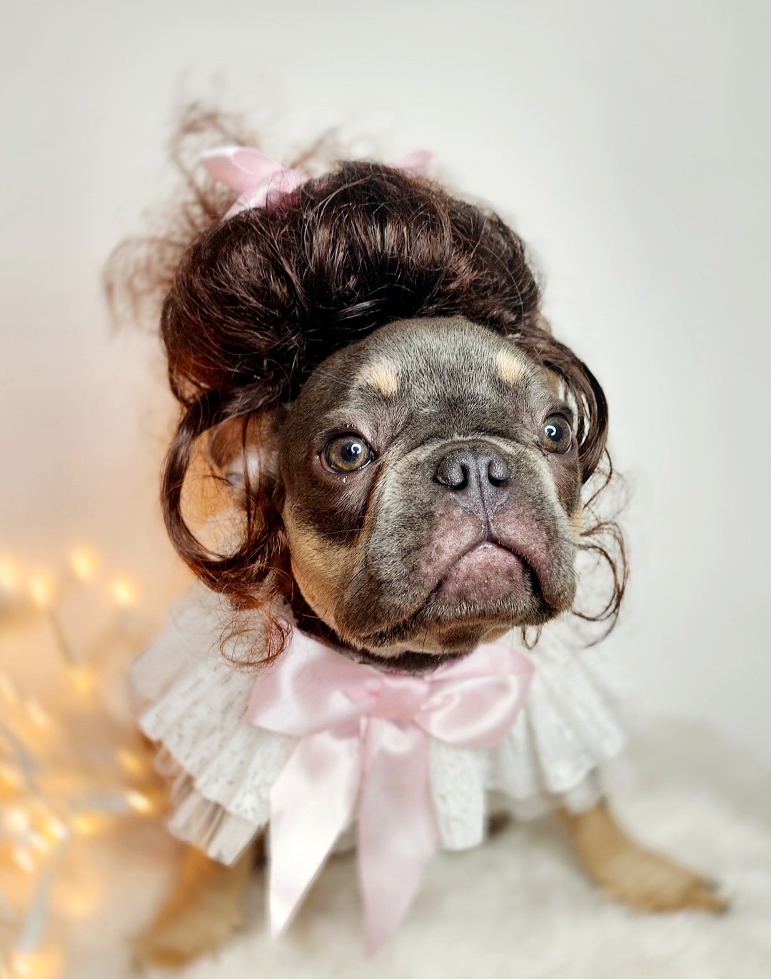 Wig for Dog /pet Marie Antoinette Wig Brown Color for Dog or Cat ...