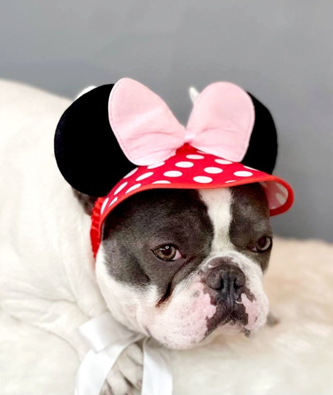 Mini Mouse Hat for Dog /dog Costume /halloween Dog Costume/ - Etsy