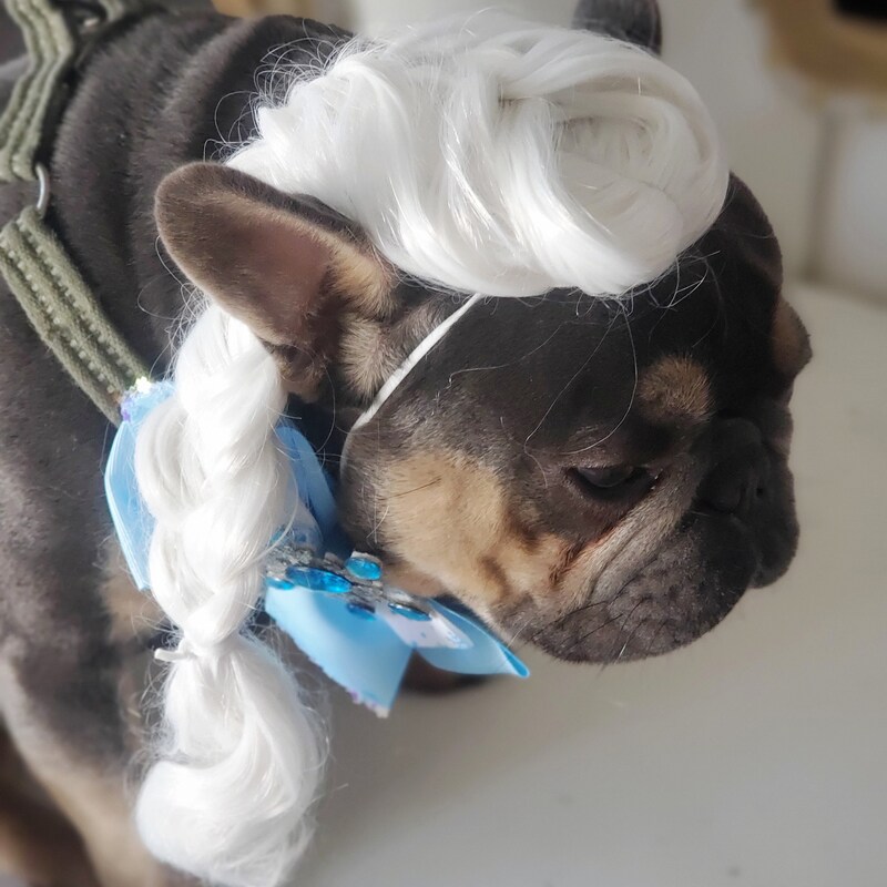 Elsa Wig - Etsy