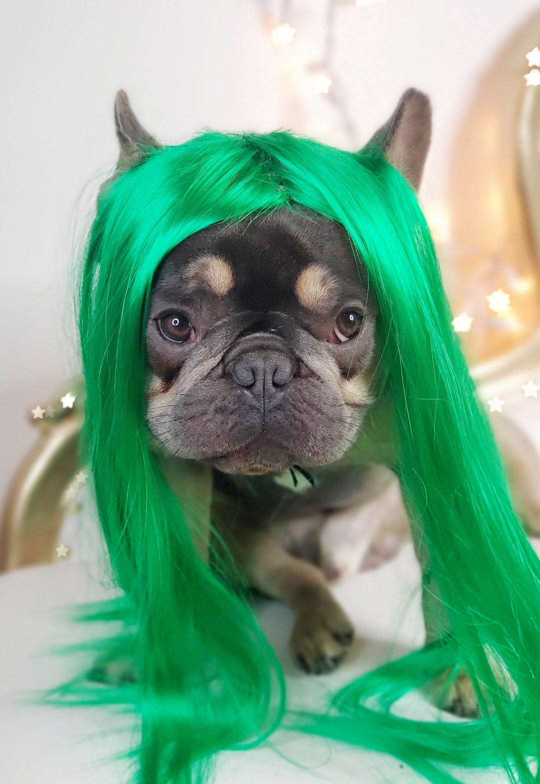 Super Cute Pet Wig /wig for Dog or Cat Small Animals/halloween Costume ...