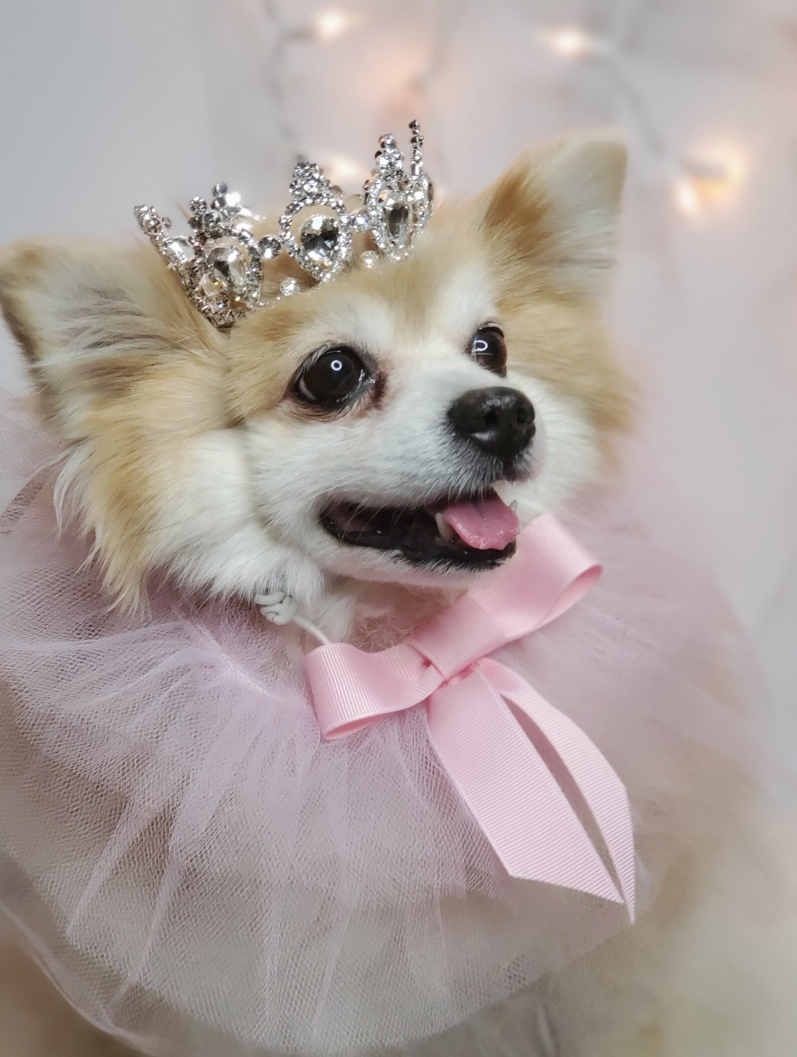 Pet Crown and Collar Set: Silver Color Tiara, Pink Bow Tie - Etsy