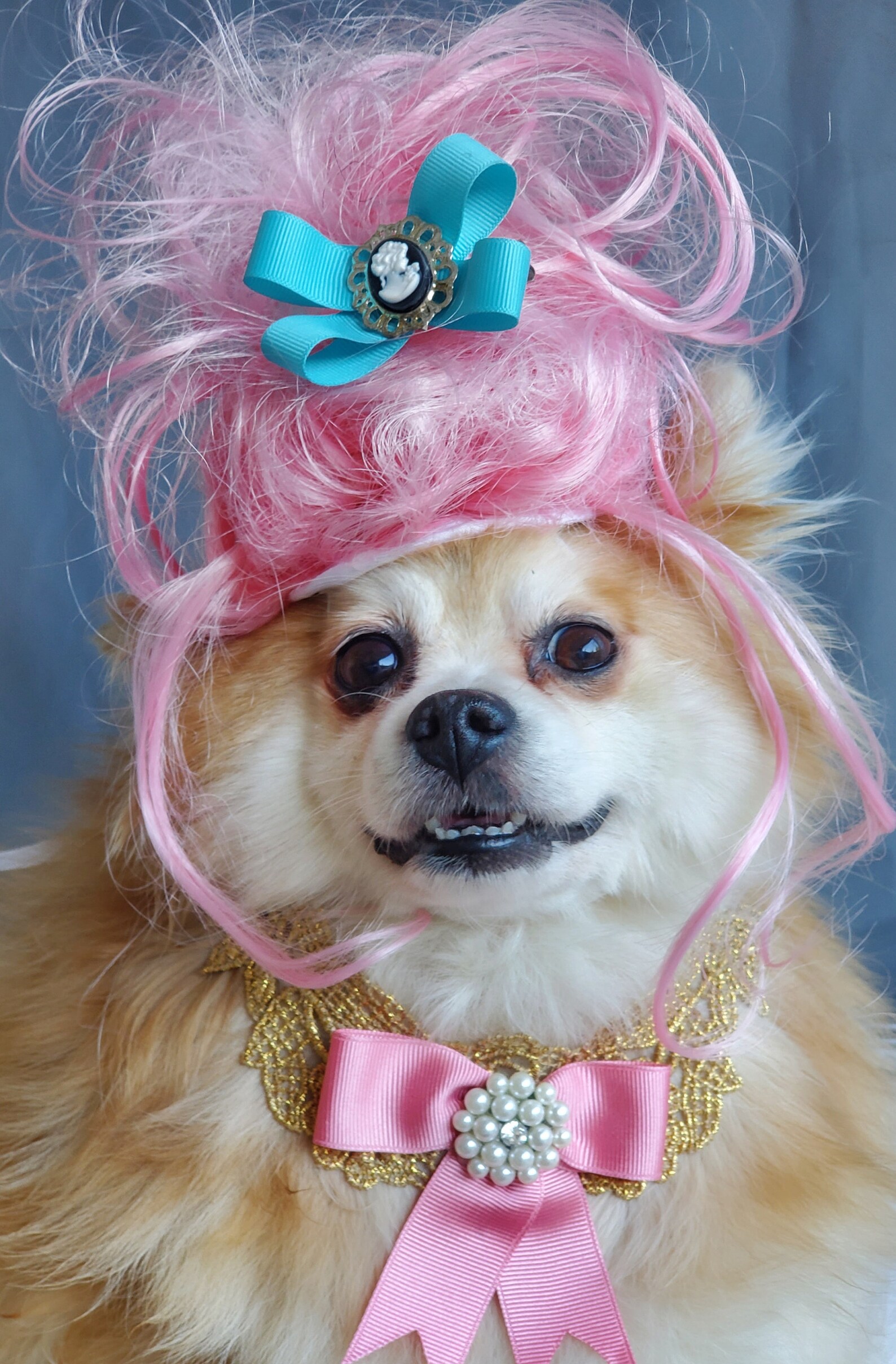 Marie Antoinette Pet Wig, Pink Costume Wig for Dog or Cat - Etsy