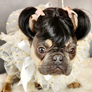 Black Pet Wig With Pony Tails, Cute Dog Costume - Etsy