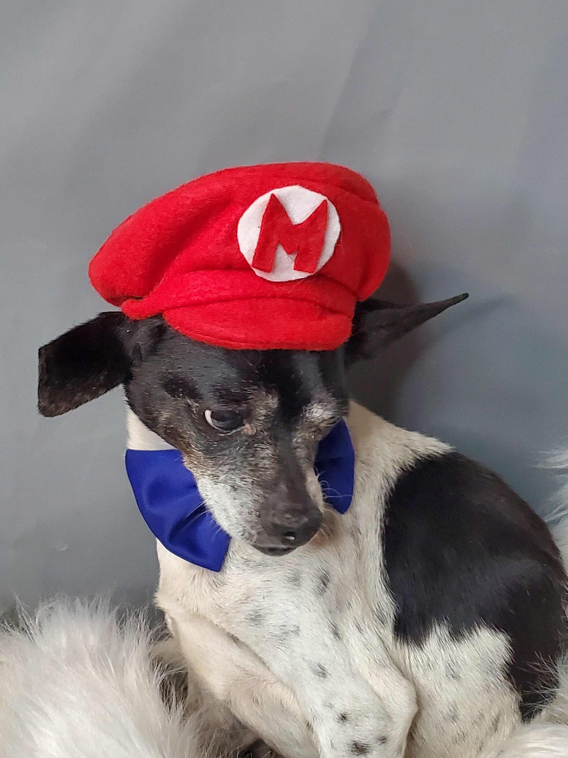 Supper Mario Hat Red Color for Dog or Cat Small Animal Doll - Etsy UK