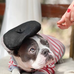 Beret Hat Black Color for Dog or Cat /hat for Dogs/beret for Dogs / - Etsy