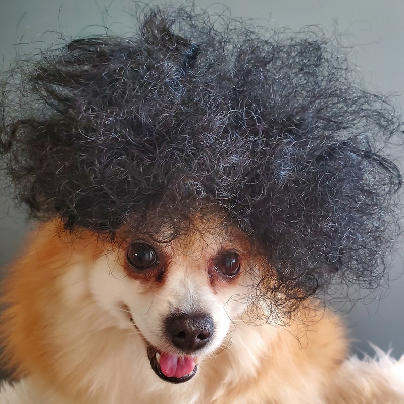 Afro Wig - Etsy