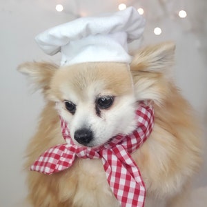 Chef Dog Hat / Chef Hat for Cat /chef Hat for Pets/ - Etsy