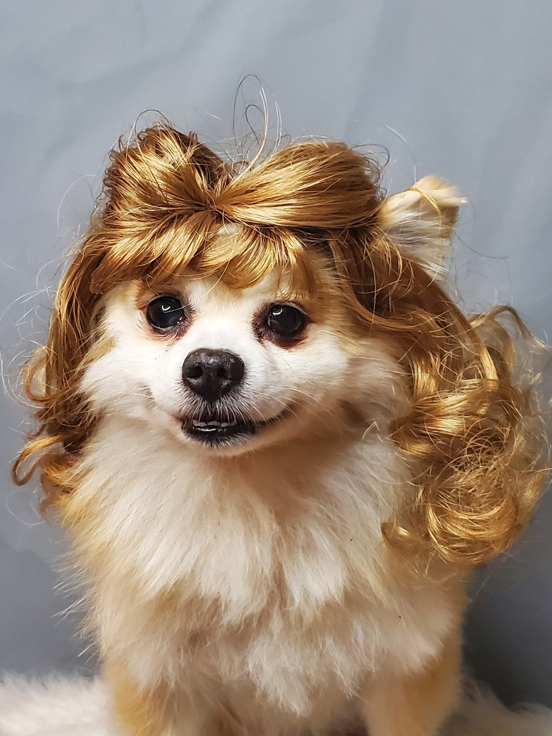 Pet Wig Brown Color for Dog or Cat /dog Costume / Cat Costume / Pet ...