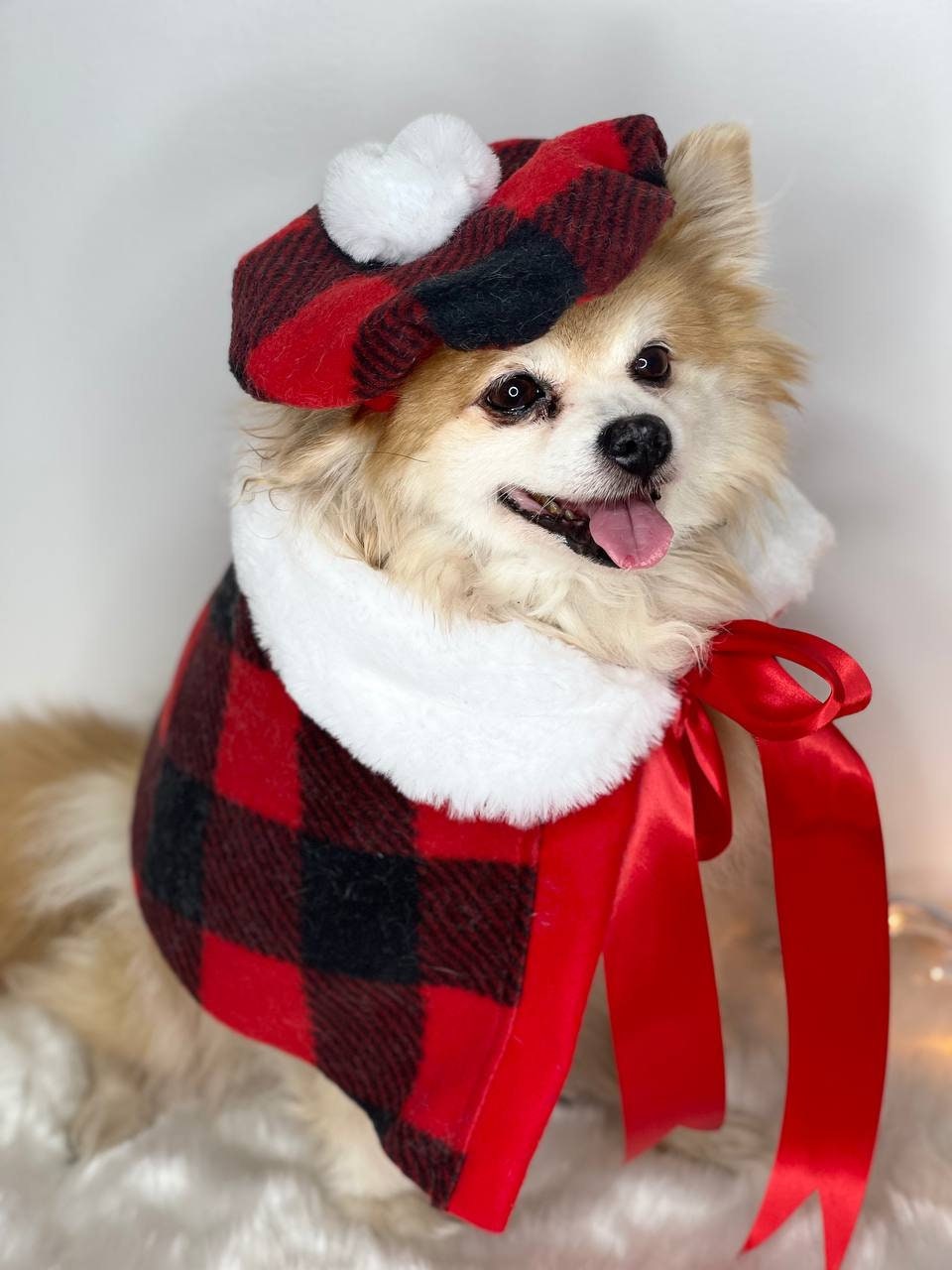 Set 2 Piece Beret and Cape for Dog Cat or Small Animal / - Etsy