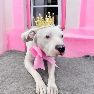 Gold Dog Crown With Bow Tie, Elegant Puppy Accessory - Etsy