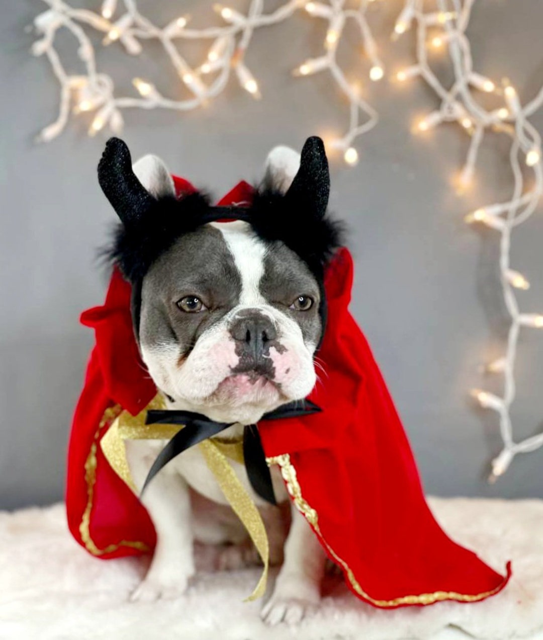 Devil Hat for Large Pet Hat /halloween Costume/horns Hat/dog Costume ...