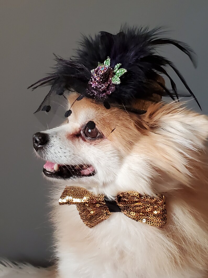 Gold Color Hat With Feather and Flower for Dog or Cat - Etsy