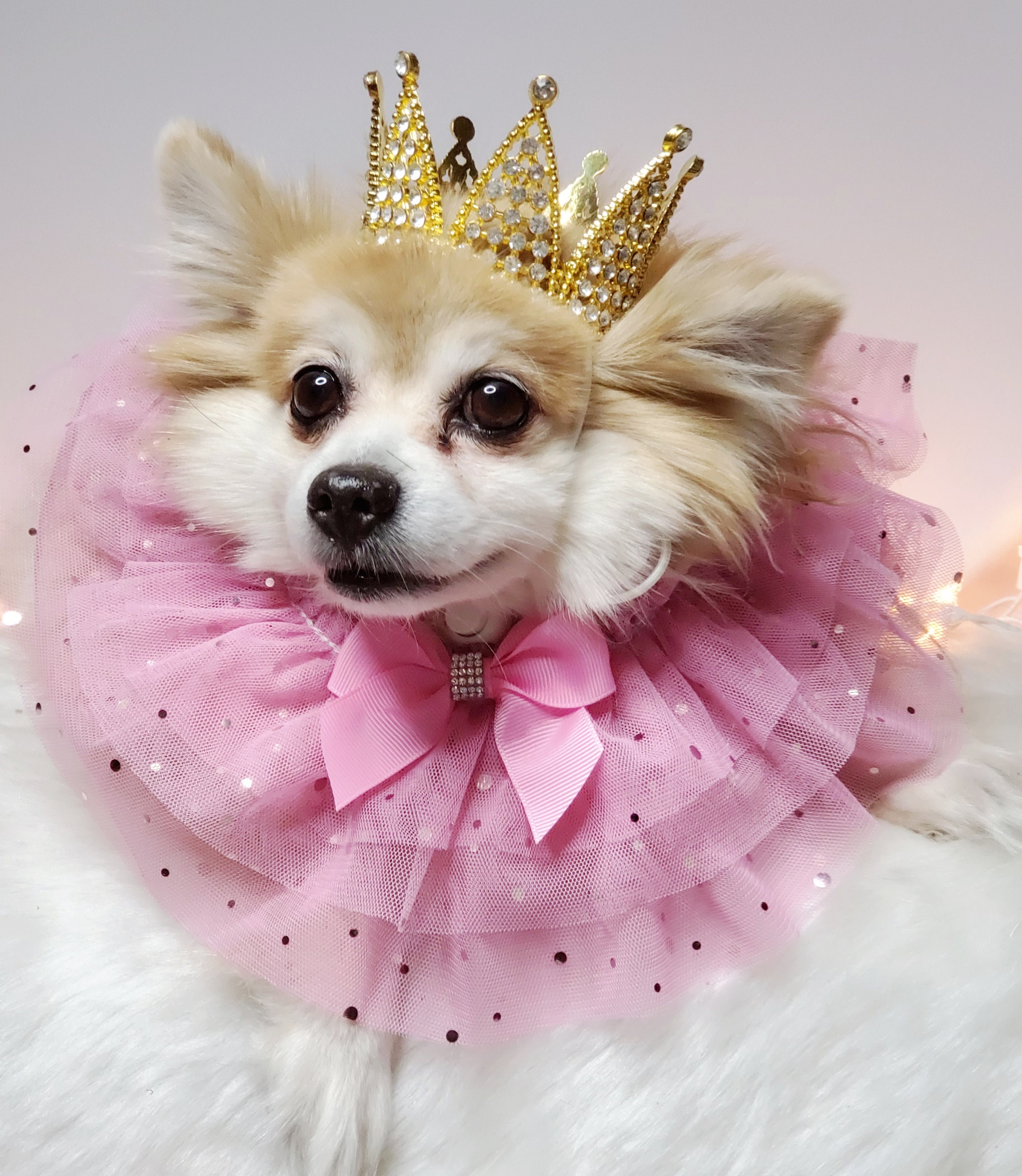 Set Listing Crown With Collar Tie for Dog or Cat /princess Set/ - Etsy