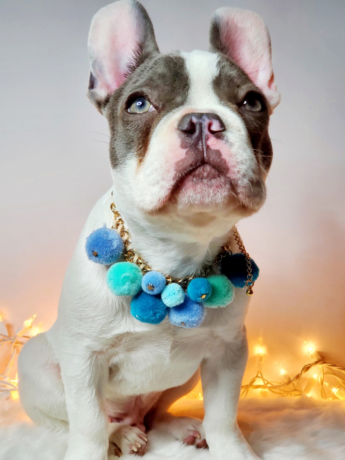 Gold Aluminum Pet Necklace With Blue Pom Poms, Frenchie Accessory - Etsy