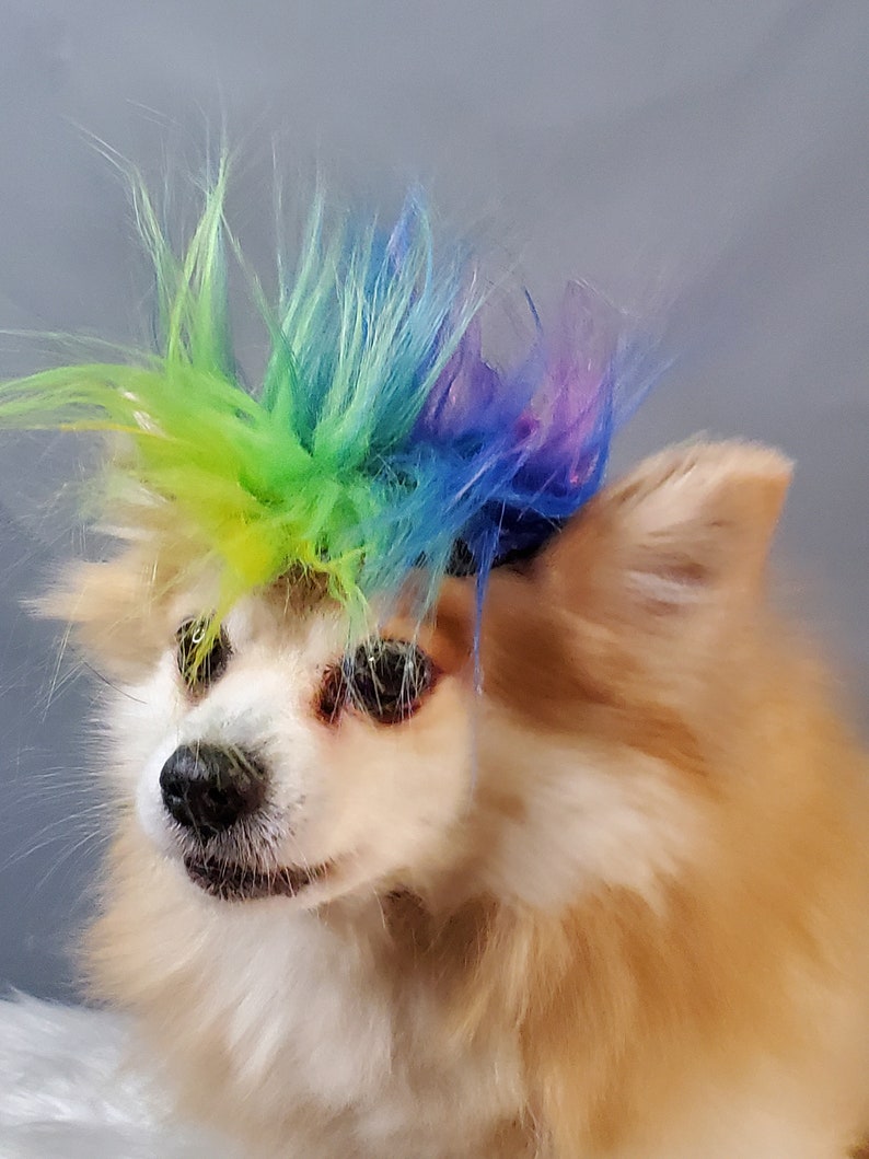 Mohawk for your pet / Halloween dog costume /Cat Mohawk / | Etsy
