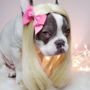 Blonde Pet Wig: Dog/cat Costume, Adjustable Fit - Etsy