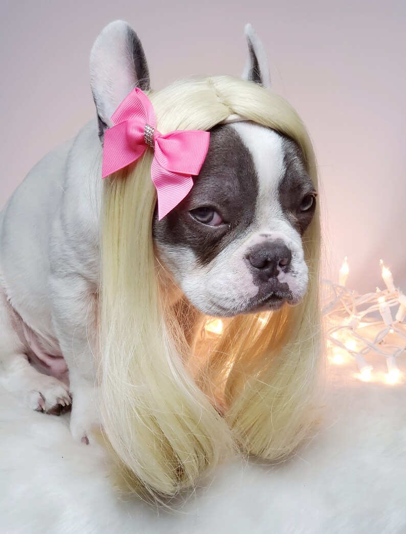 Cute Pet Wig /wig for Dog or Cat / Halloween Dog Wig / Costume - Etsy