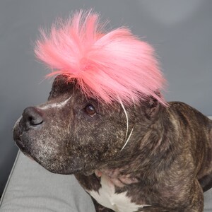 Hot Pink Mohawk Wig for Large Dogs: Adjustable Halloween Costume - Etsy