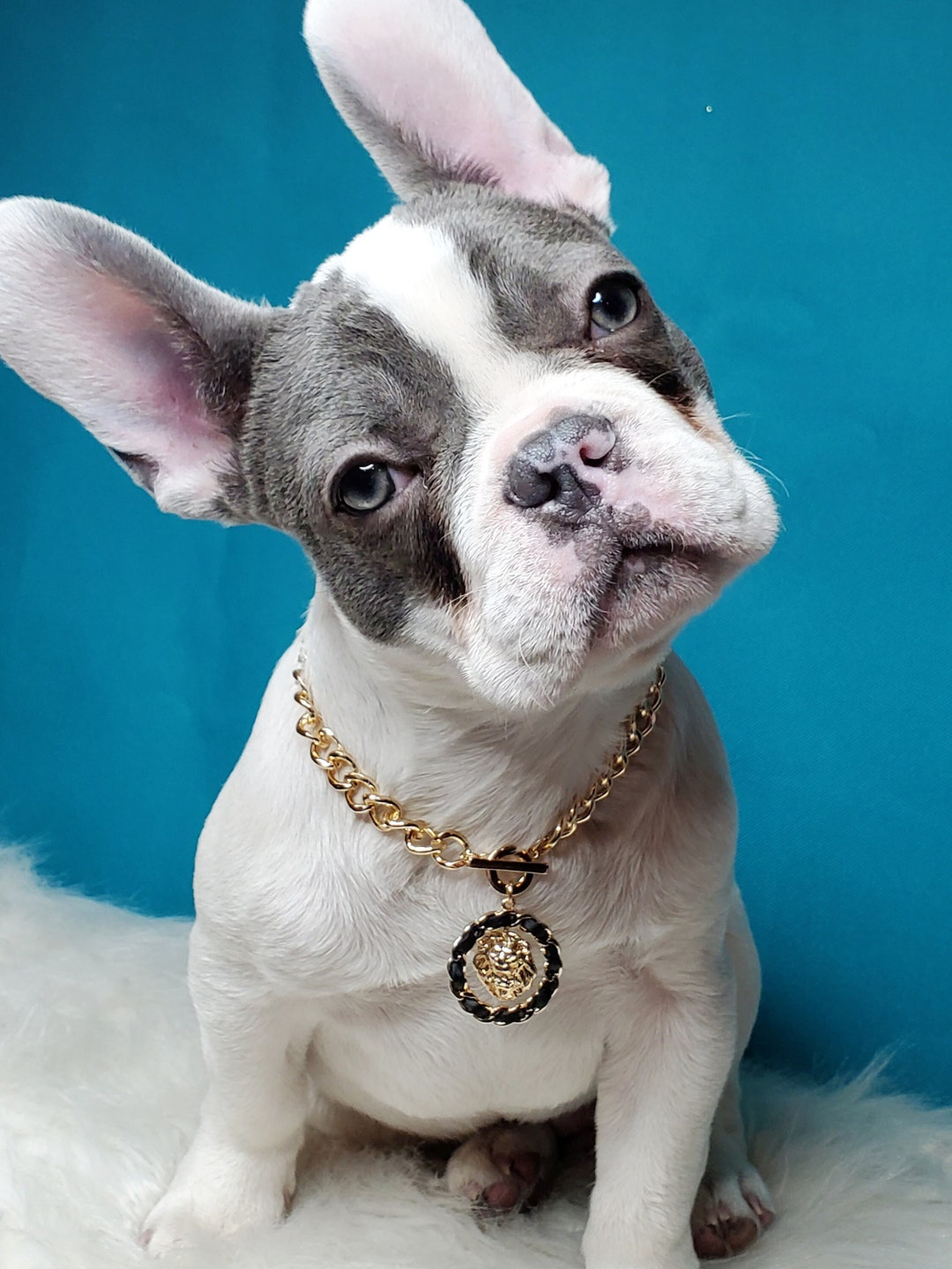 Supper Cute Dog Neck Chain Gold Color /dogs Collar / - Etsy
