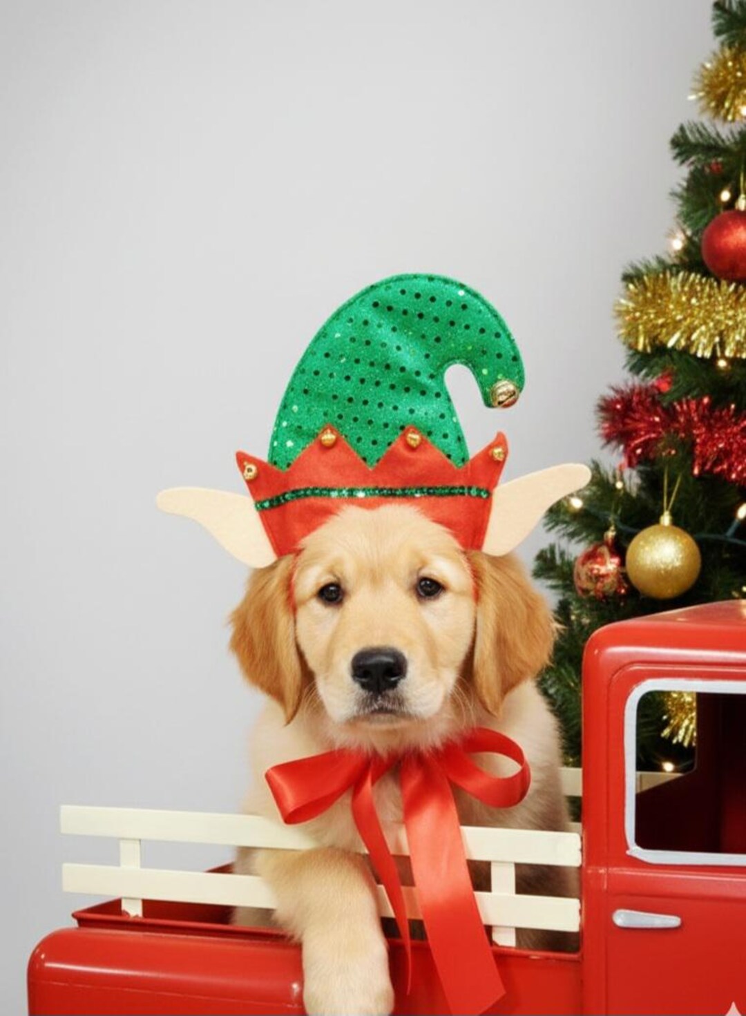 Dog Elf Costume Headband, Christmas Pet Outfit (M/L) - Etsy