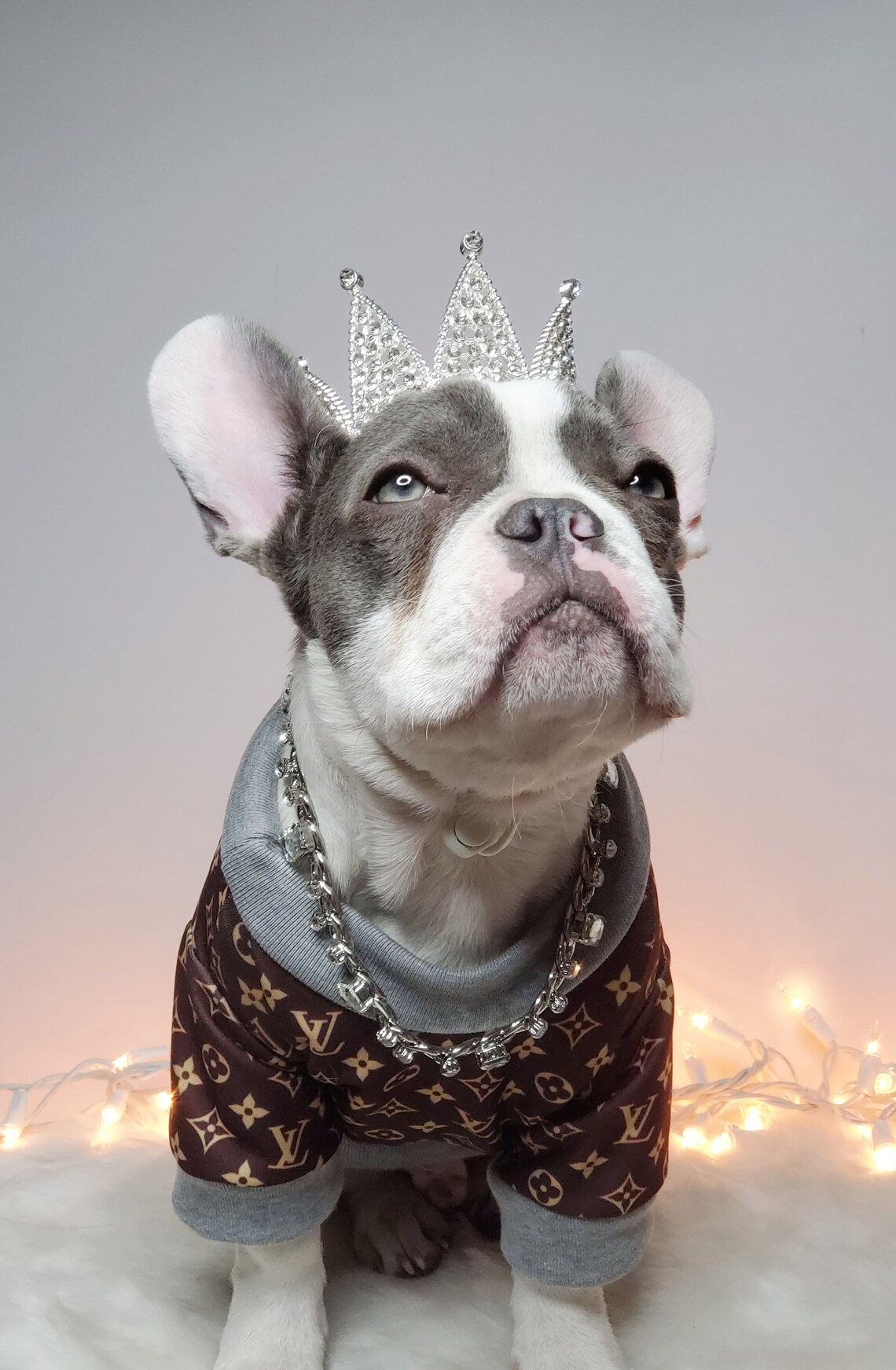 Crown for Dog or Cat /princess Dog Crown / Crown for Dog - Etsy