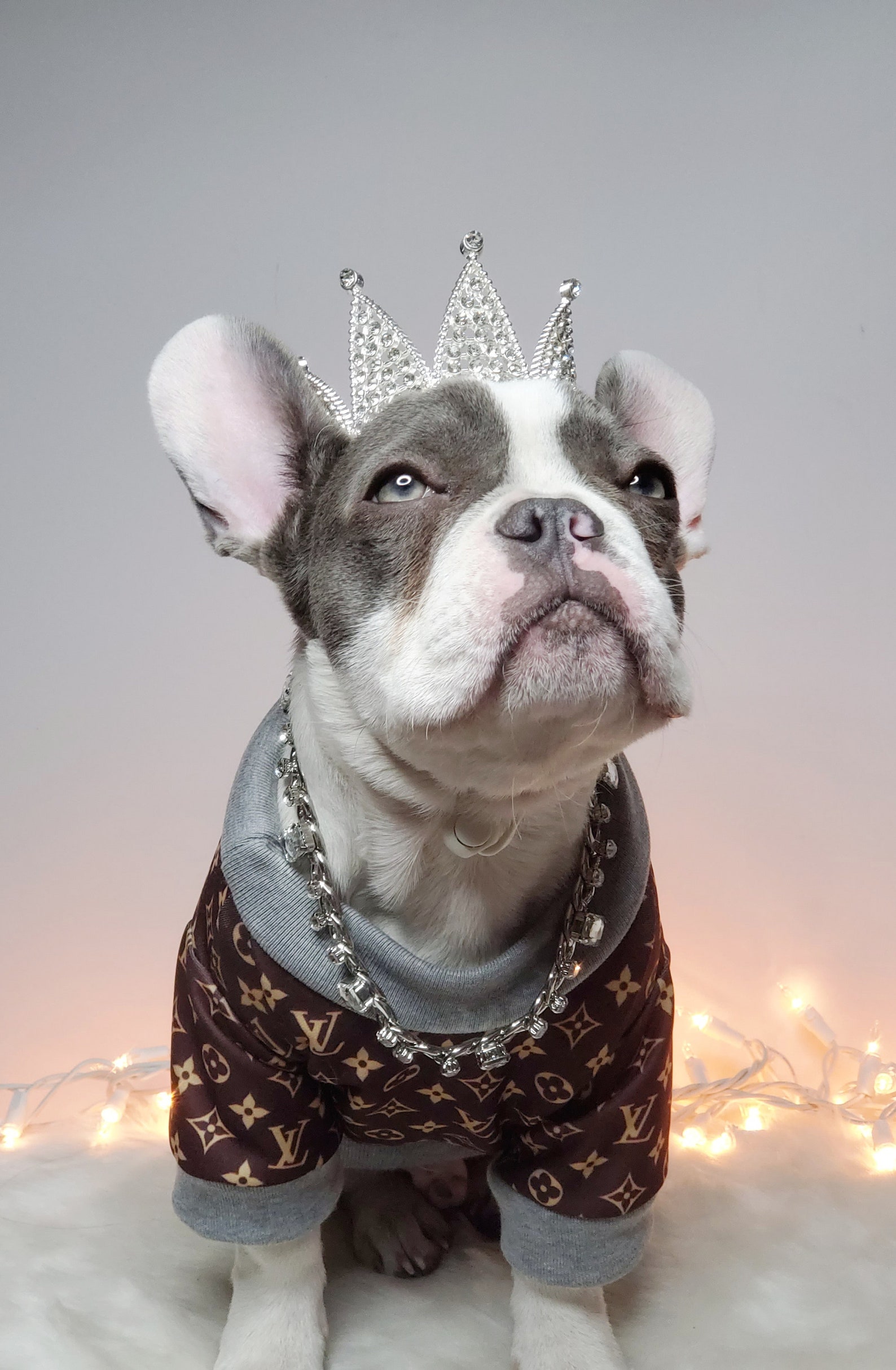 Crown for Dog or Cat /princess Dog Crown / Crown for Dog | Etsy
