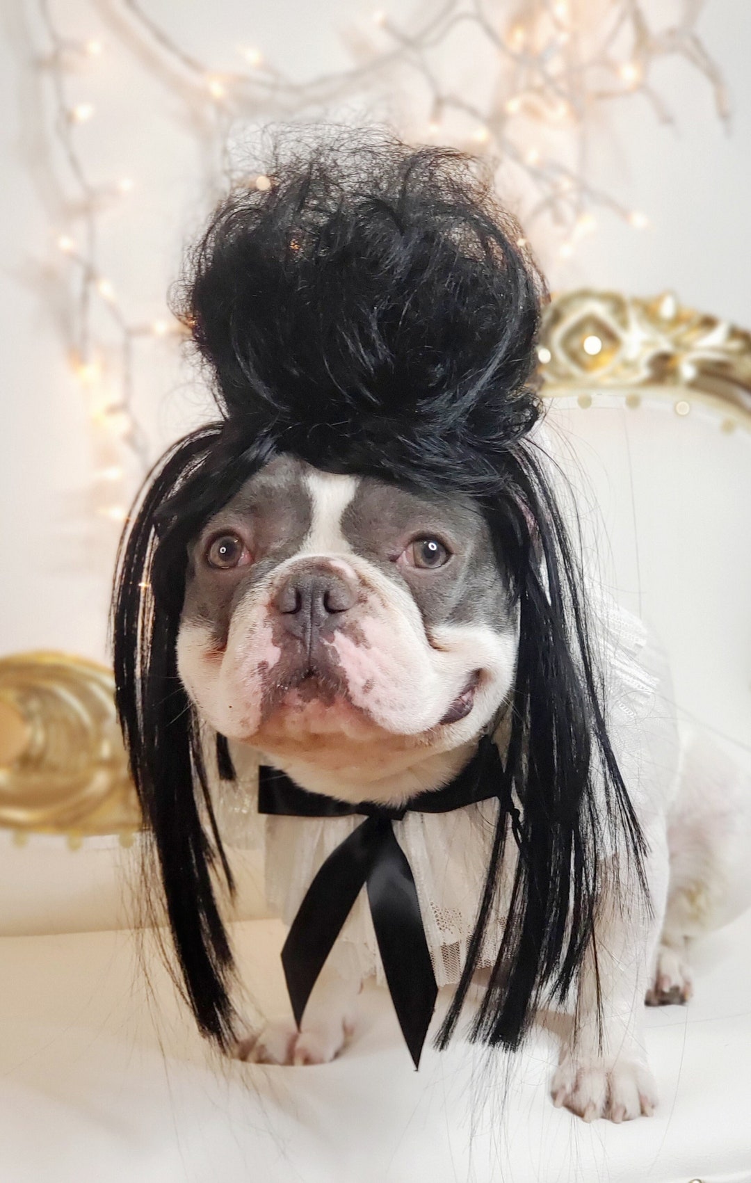Elvira Dog Wig, Black Halloween Costume Wig - Etsy