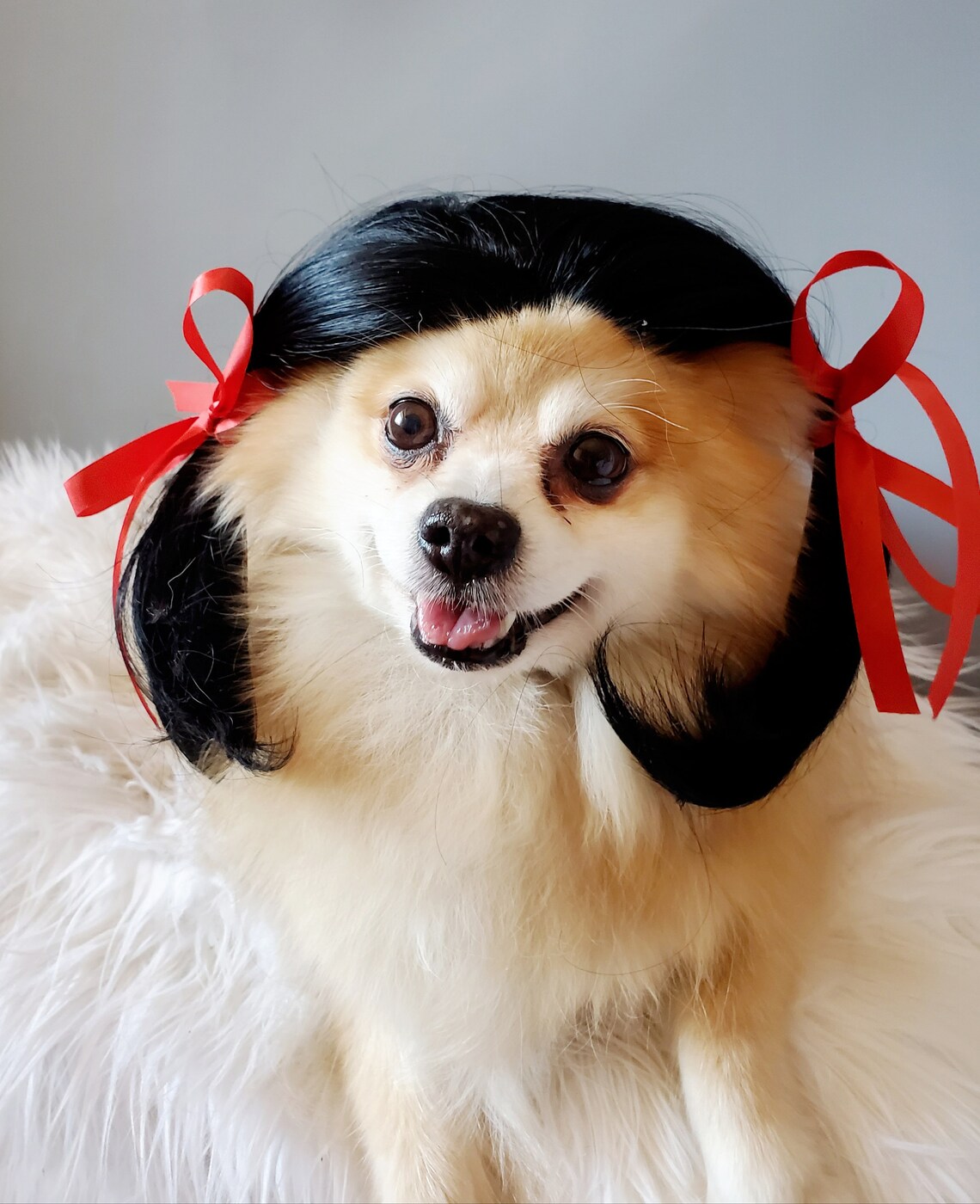 Black dog wig/Cute pet wig for dog or cat / Halloween pet | Etsy