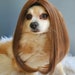 Cute Pet Wig for Dog or Cat / Halloween Pet Wig / Costume Dog Wig /dog ...