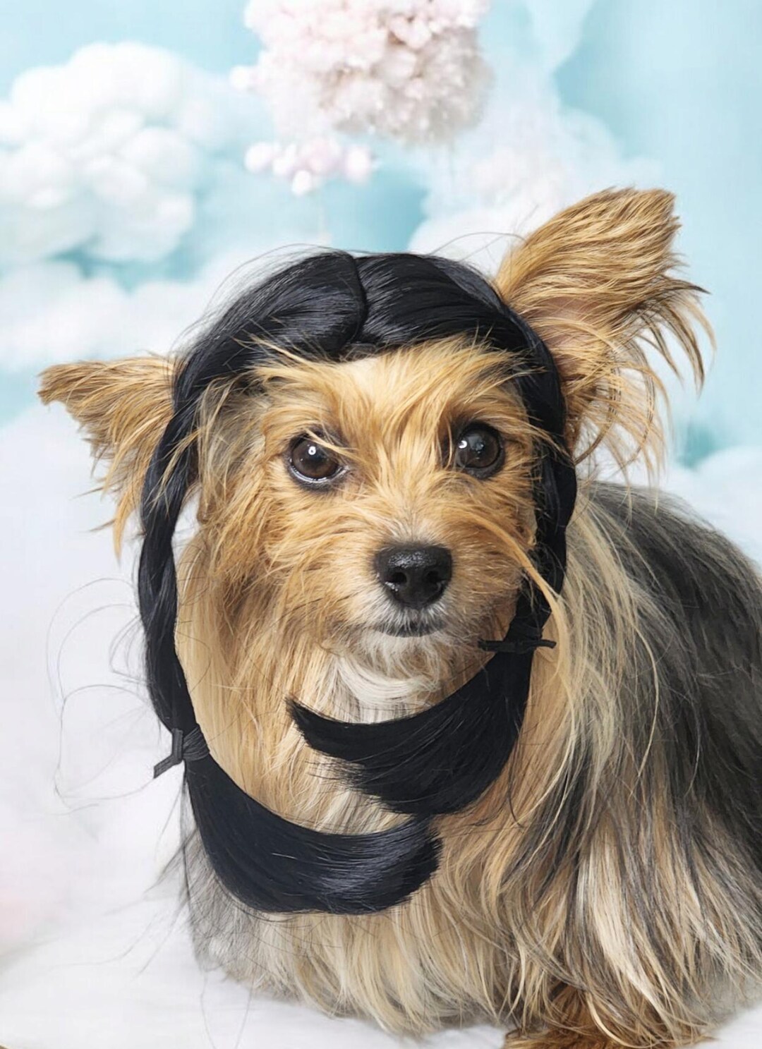 Wednesday Addams Pet Wig | Braided Black Dog Costume - Etsy