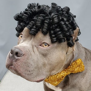Large Size Black Color Wig for Dog - Etsy