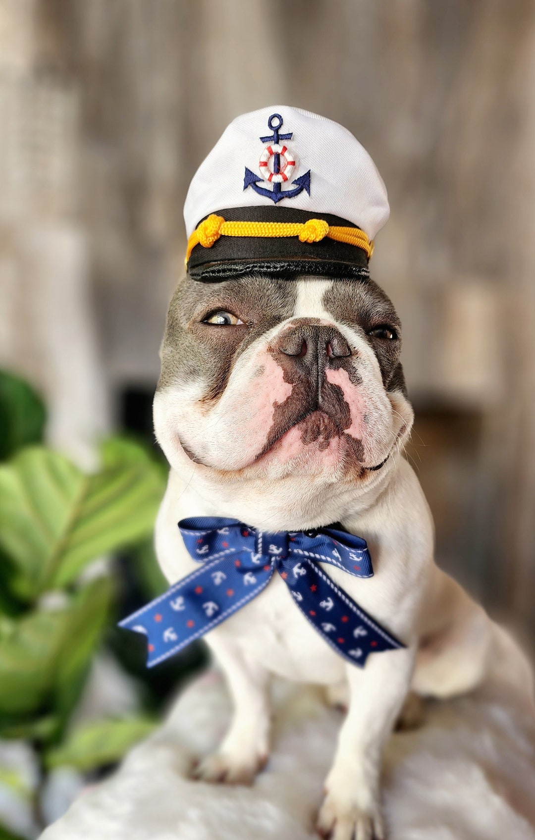 Captain Hat for Dog or Cat Small Animal Doll /halloween Pet Hat ...