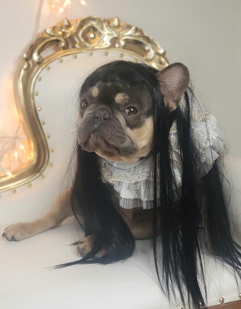 Black Pet Wig - Dog or Cat Costume, Adjustable Fit - Etsy