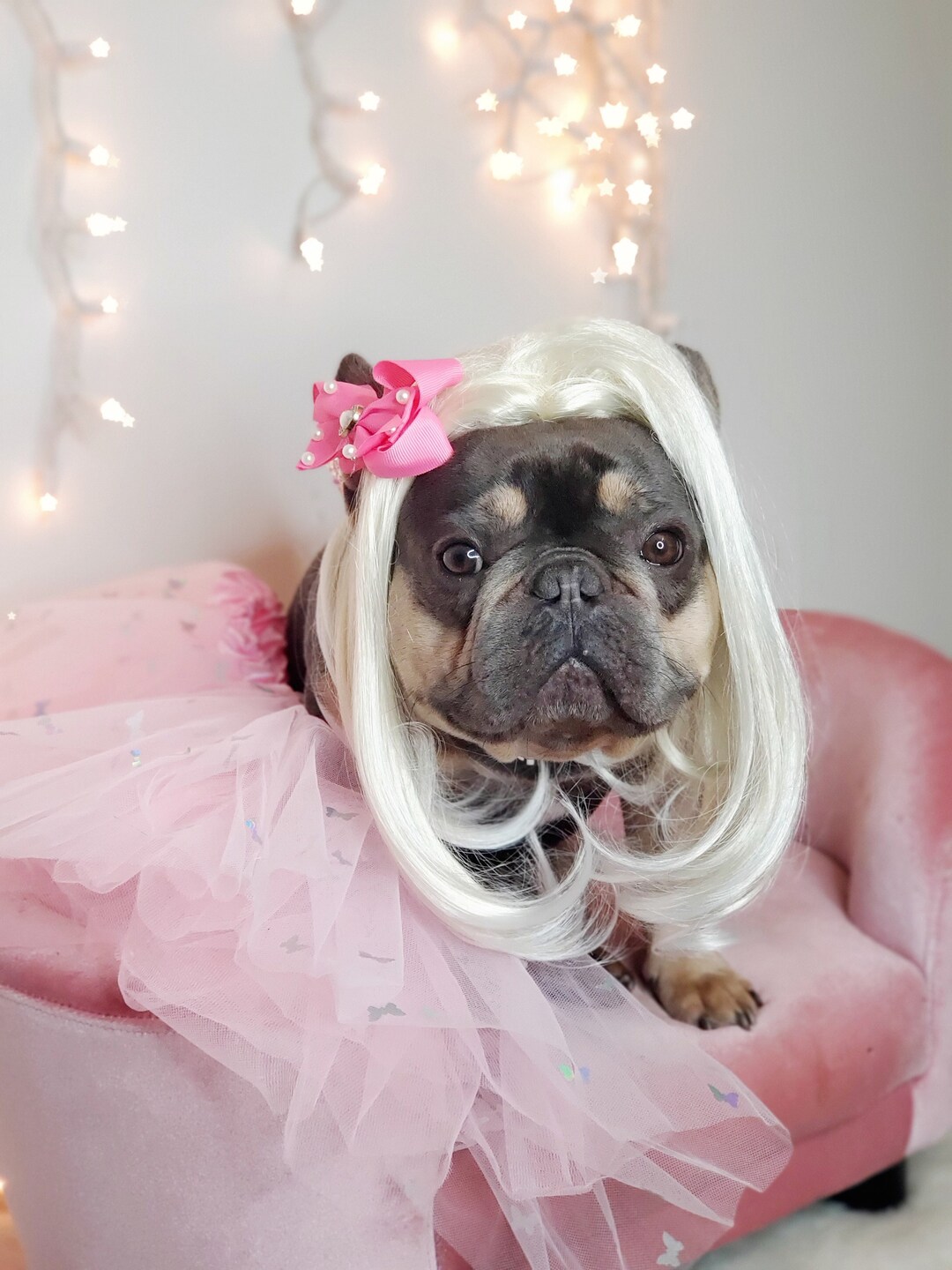 Cute Pet Wig /wig for Dog or Cat / Halloween Dog Wig / Costume Dog Wig ...