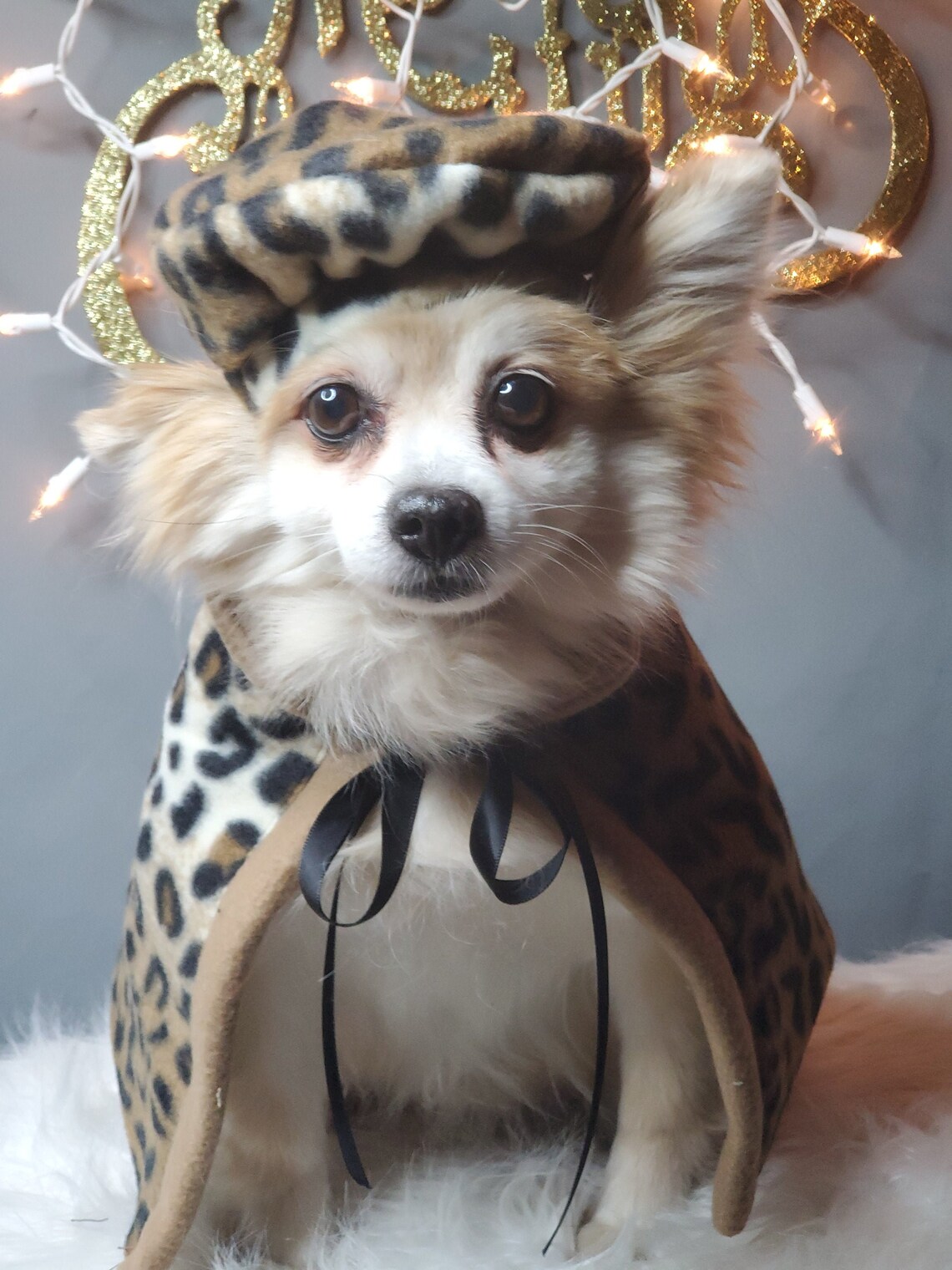 Set 2 Piece Beret and Cape Cover for Dog Cat or Small Animal / | Etsy