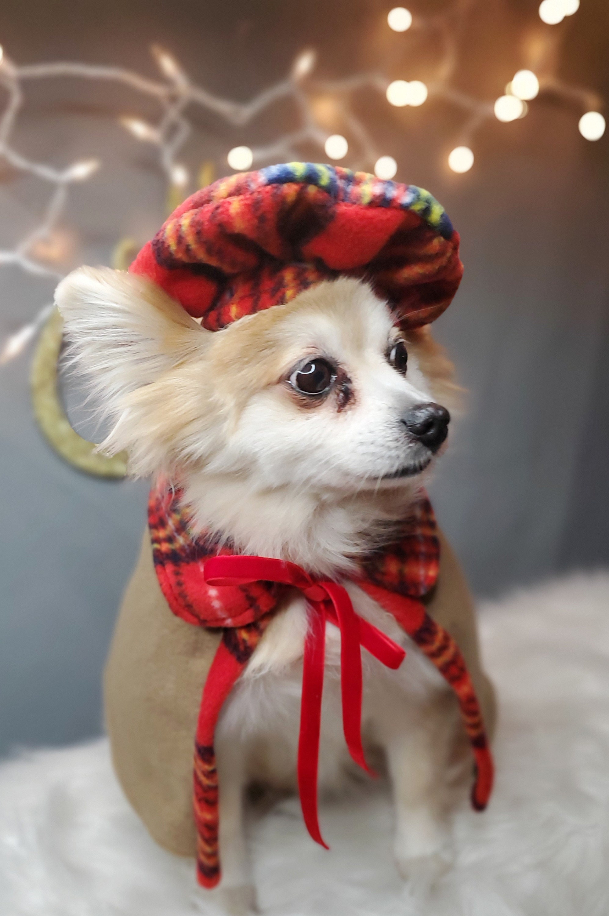 Set 2 piece Beret and Cape cover for dog cat or small animal | Etsy