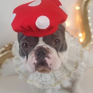 Mushroom Pet Hat, Super Mario Dog Costume, Adjustable Fit - Etsy