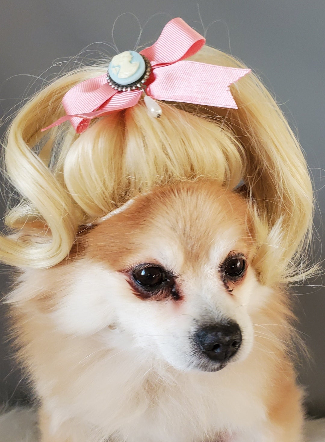 Pet Blond Wig With Pony Tail for Dog or Cat - Etsy