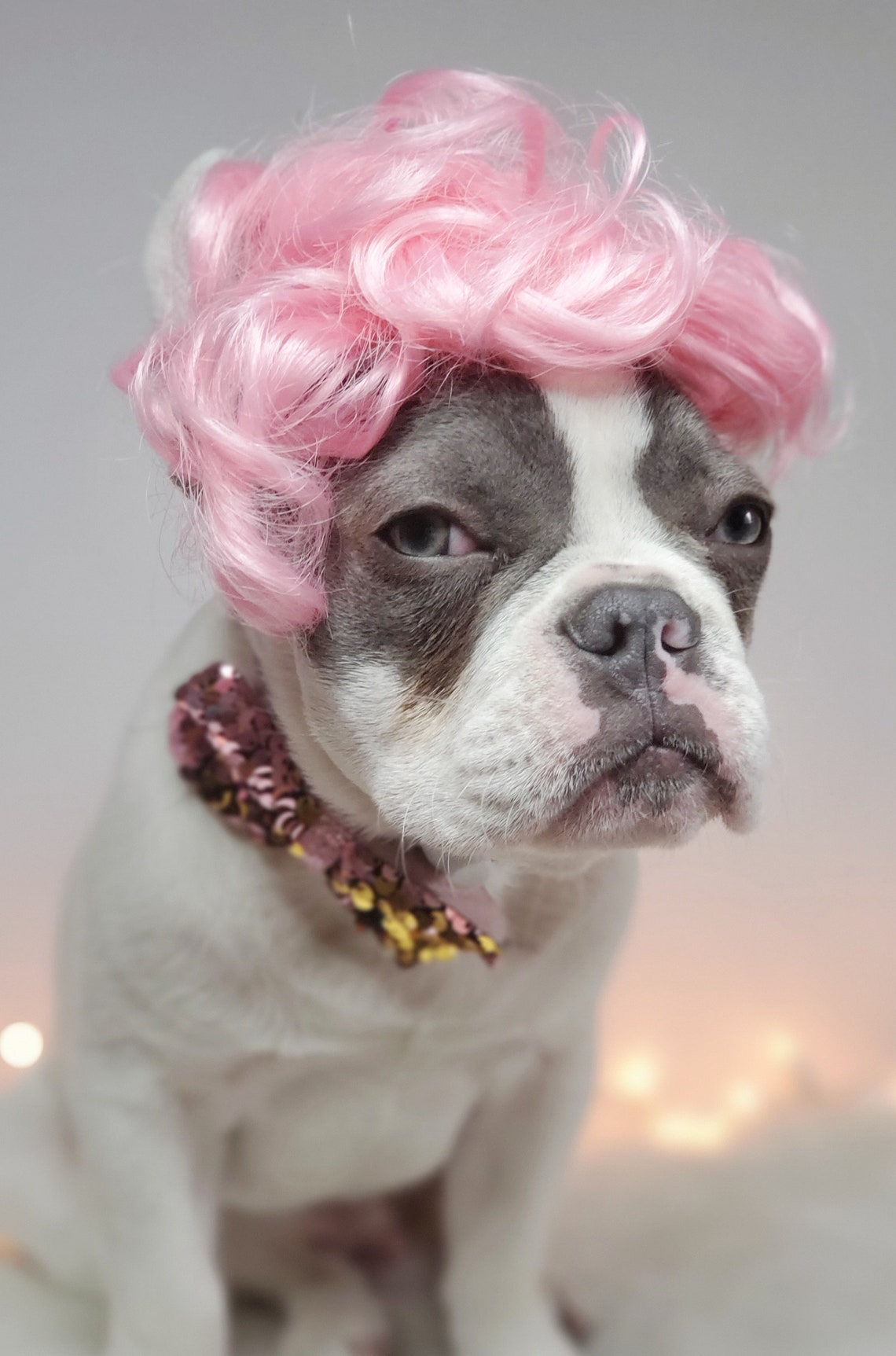 Pink Pet Wig for Dog or Cat, Halloween Costume - Etsy
