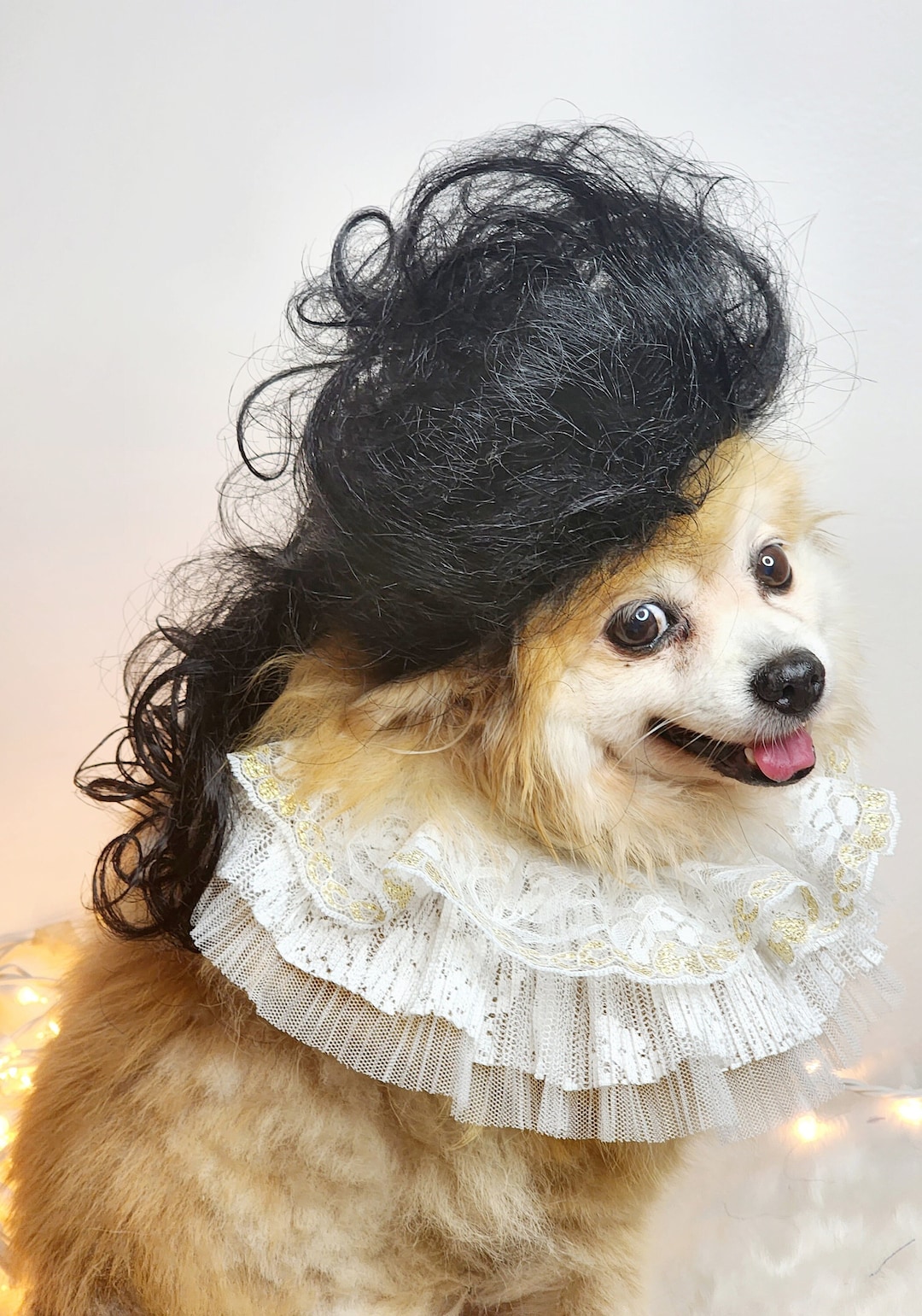 Hamilton Wig for Halloween Wig for Dog or Cat /halloween Pet Wig ...