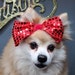 Christmas Red Bow // Dog Halloween Bow // Costume Dog Neck Tie Pet Bow ...