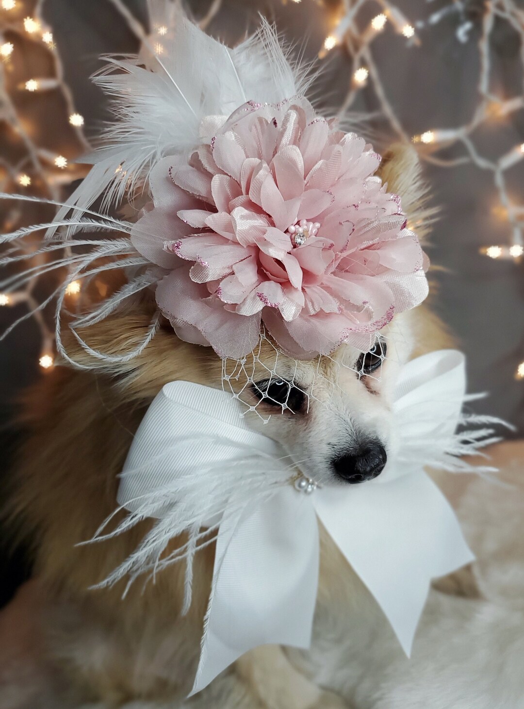 Elegant Pet Hat With Flower & Feather – Small Dog or Cat Costume - Etsy