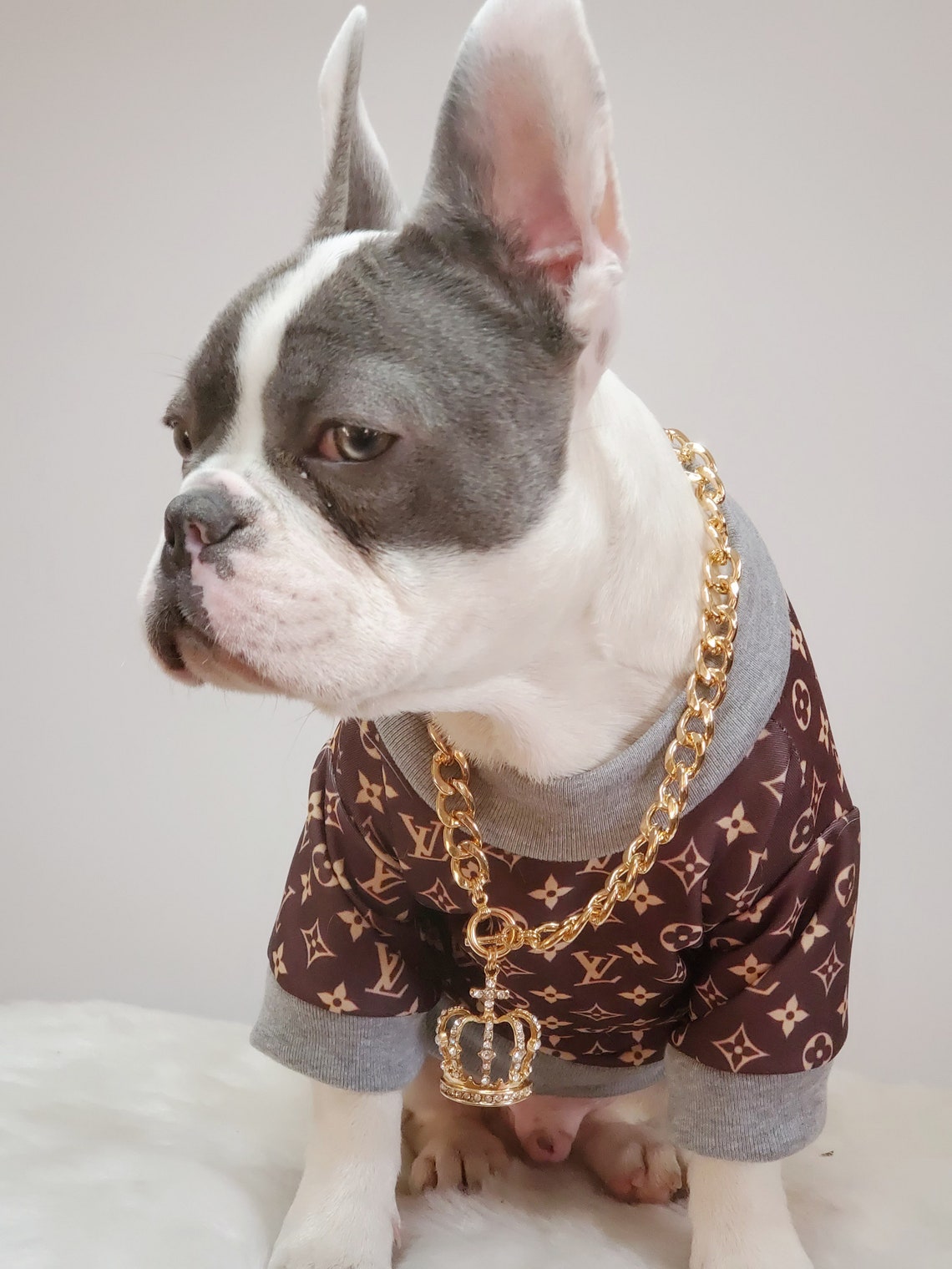 Supper Cute Dog Neck Chain Gold Color/ Jewelry for Pet - Etsy